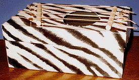 Strings Scrape & Pluck: how do string instruments make sound?